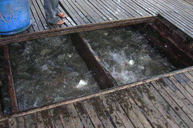 Mekong Delta Tours 3days - CaiBe Vinh Long ChauDoc CanTho - Final Thoughts