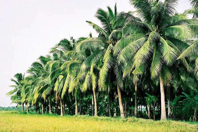 Mekong Delta with Floating Market 2 Days - FAQ