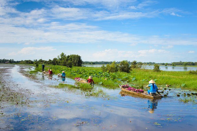 Mekong River Delta (Tan Phong Island, Vinh Trang Pagoda & More) - Who Will Love This Tour?