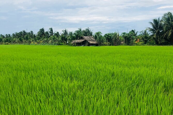 Mekong with biking private tour - What Travelers Say