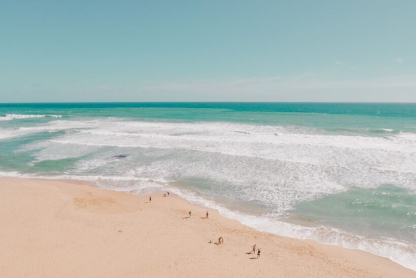 Melbourne: 12 Apostles, Otways & Great Ocean Road Day Tour - Practical Details: Transportation, Timing, and Comfort