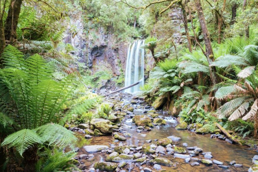 Melbourne: 12 Apostles, Otways & Great Ocean Road Day Tour - FAQs