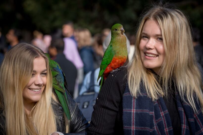 Melbourne: 2-Day Great Ocean Road & Grampians Tour - The Sum Up
