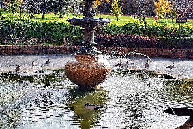 Melbourne and Moonlit Sanctuary Shore Excursion - Key Points