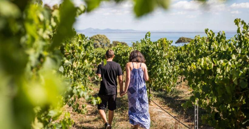 Melbourne: Around the Bay Food & Wine Taste Trail - An Overview of the Experience