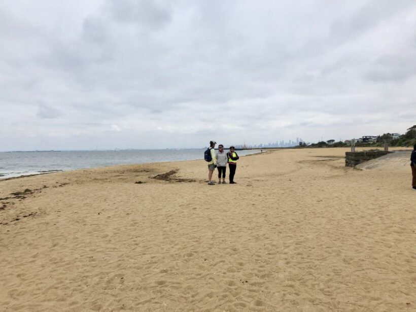 Melbourne: Bayside Bike Tour | Pedal into Local Seaside Life - Suitability and Considerations