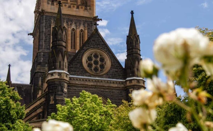 Melbourne: City Highlights Group Tour by Bus - The Sum Up: Who Will Love This Tour?