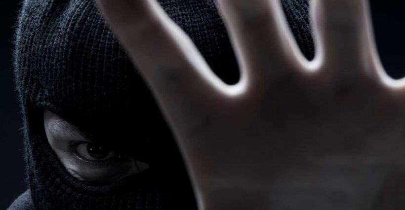 Melbourne: City Highlights Guided Walking Crime Tour - Key Points