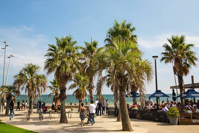 Melbourne City Laneways, Bays and Suburbs Small Group Bus Tour - FAQ