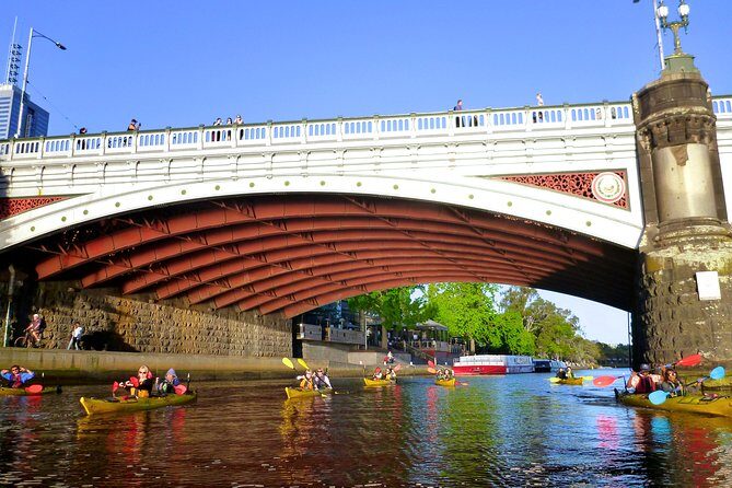 Melbourne City Twilight Kayak Tour - Why This Tour Is a Great Choice
