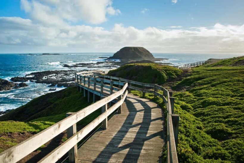 Melbourne: Coastal View & Phillip Isand Penguin Parade Tour - Key Points