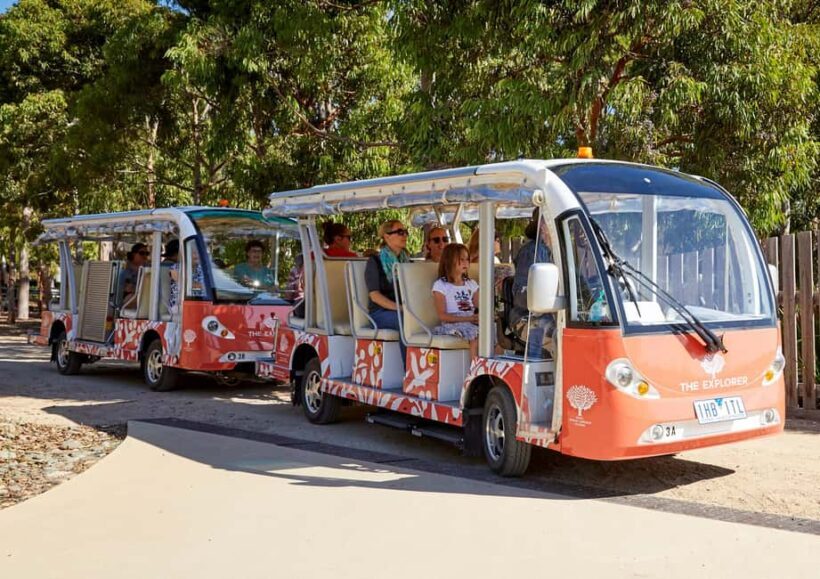 Melbourne: Cranbourne Gardens Electric Explorer Tour - Key Points