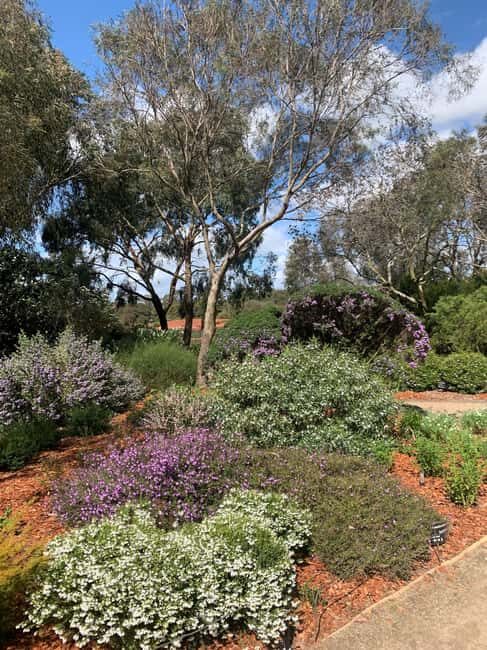 Melbourne: Cranbourne Gardens Electric Explorer Tour - Authentic Experiences and Reviews