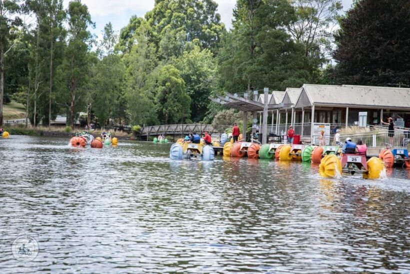Melbourne: Dandenong Ranges & Yarra Valley Day Trip - Who Will Love This Tour?