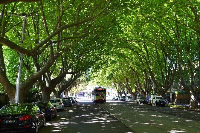 Melbourne Drive by Day - Private Tour - Practical Details