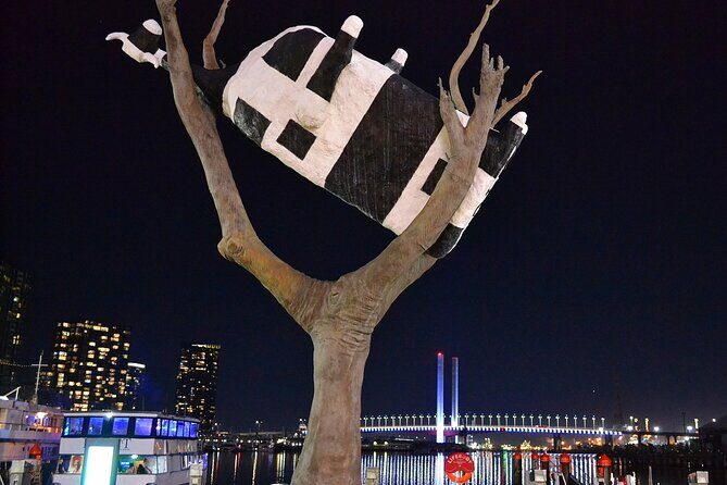 Melbourne Drive by Night - Private Tour - The Value for Money