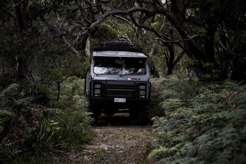 Melbourne: French and Phillip Island Wildlife Expedition - An In-Depth Look at the Day