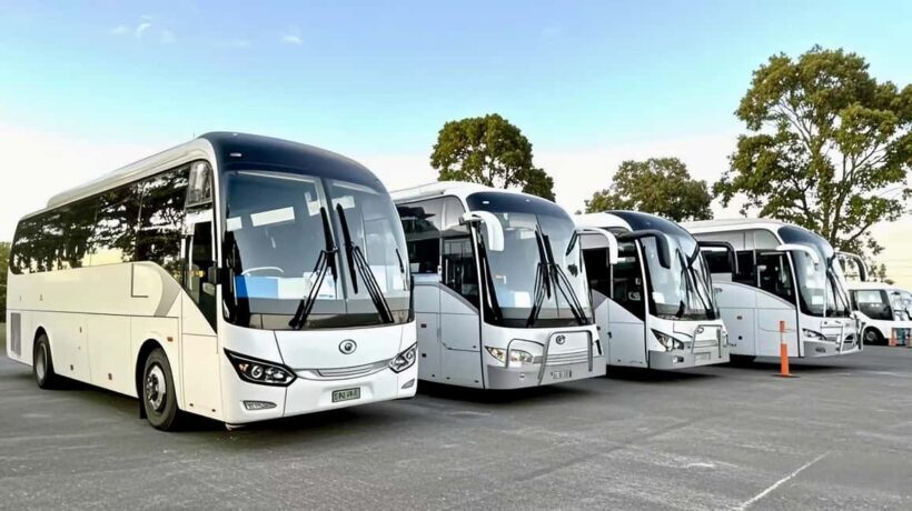 Melbourne Great Ocean Road 12 Apostles Luxury Coach Tour - Who Should Book This Tour?