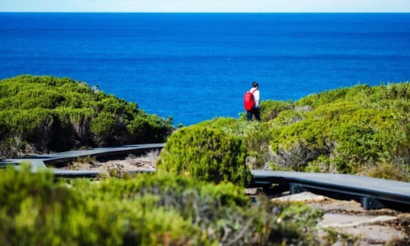 Melbourne: Great Ocean Road Day Tour - An Overview of the Itinerary