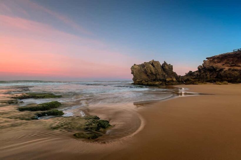 Melbourne: Great Ocean Road Day Tour with kangaroos & koalas - An Honest Look at the Tour Experience