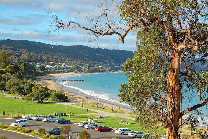 Melbourne: Great Ocean Road & Iconic Coastal Views Day Tour - An In-Depth Look at the Tour Experience