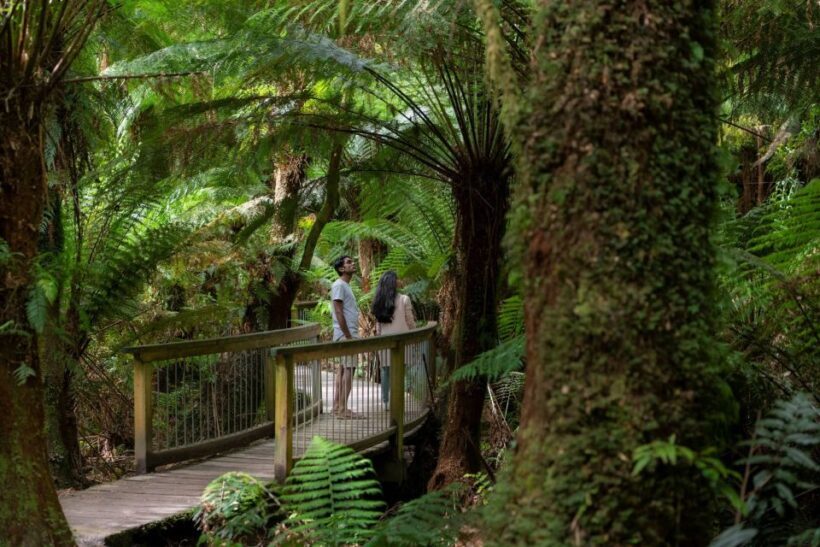 Melbourne: Great Ocean Road & Rainforest Trip - What You Should Bring