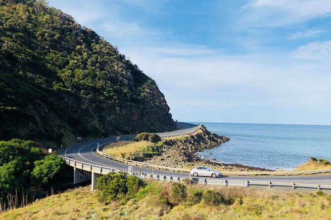 Melbourne: Great Ocean Road Tour with Maxi Highlights in One Day - Koala Spotting at Barham Paradise S.R.