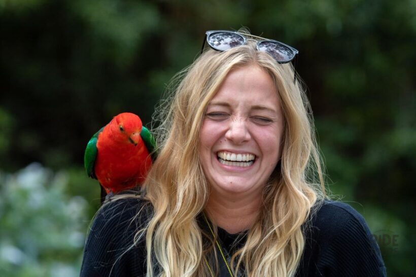 Melbourne: Great Ocean Road & Wildlife Tour for Backpackers - The Sum Up
