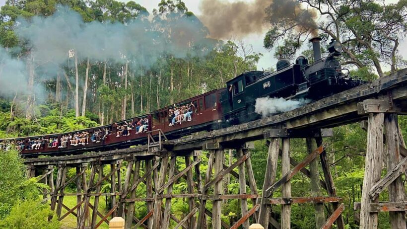 Melbourne: Half-Day Puffing Billy Steam Train Experience - A Thorough Look at the Puffing Billy Half-Day Experience