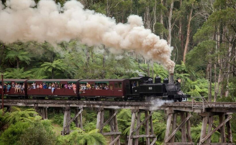 Melbourne: Half-Day Puffing Billy Steam Train Experience - The Sum Up
