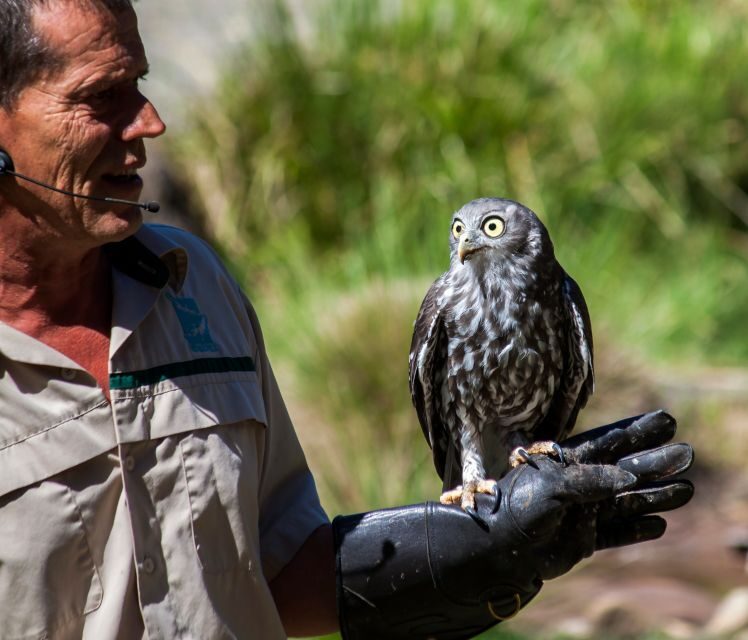 Melbourne: Healesville Sanctuary & Phillip Island Tour - The Sum Up