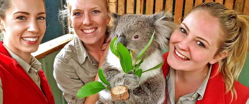Melbourne Highlights & Aussie Wildlife Express Tour - The Sum Up: Who Is This Tour Best For?