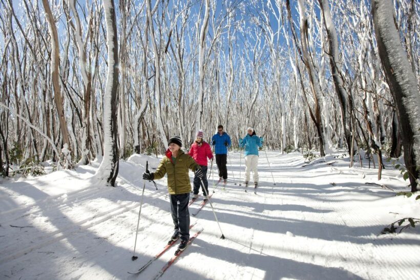 Melbourne: Lake Mountain Snow Guided Tour - Key Points