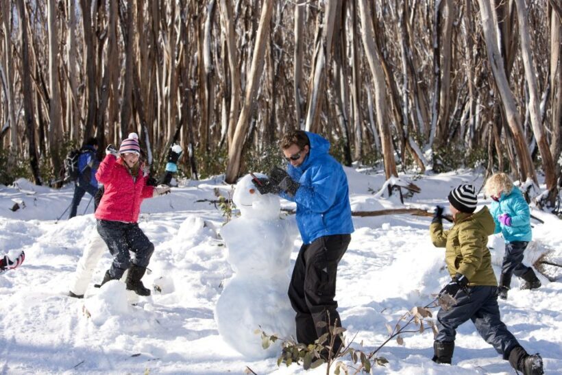 Melbourne: Lake Mountain Snow Guided Tour - Final Thoughts