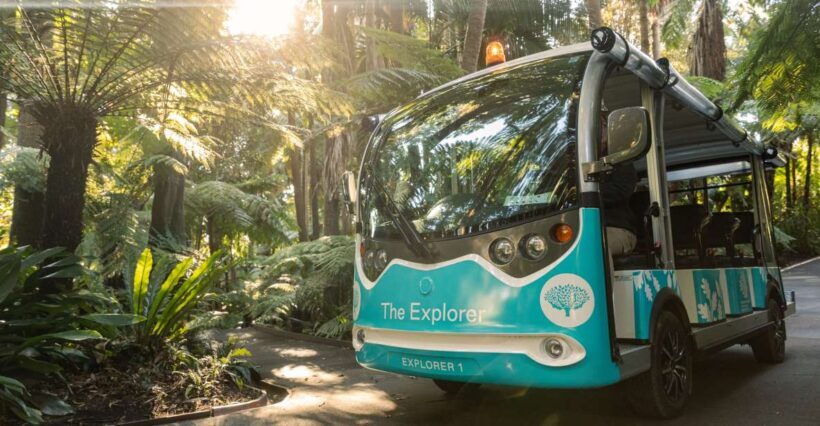 Melbourne: Melbourne Gardens Explorer Minibus Tour - What Makes This Tour Stand Out?