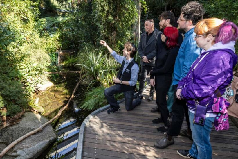 Melbourne: Melbourne Museum Guided Tour with Entry Ticket - The Itinerary: A Closer Look at What You’ll Experience