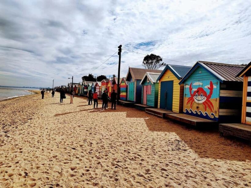 Melbourne: Moonlit Sanctuary and Brighton Beach Boxes Tour - Analyzing the Value