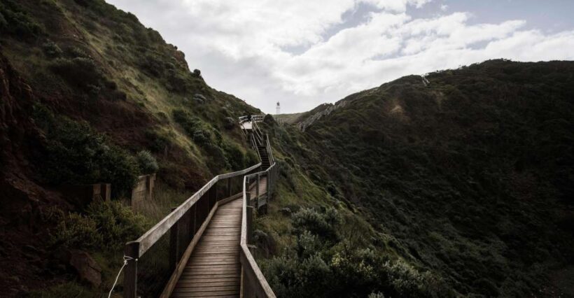 Melbourne: Mornington Peninsula & Hot Springs Tour 8 pax max - An In-Depth Look at the Mornington Peninsula & Hot Springs Tour