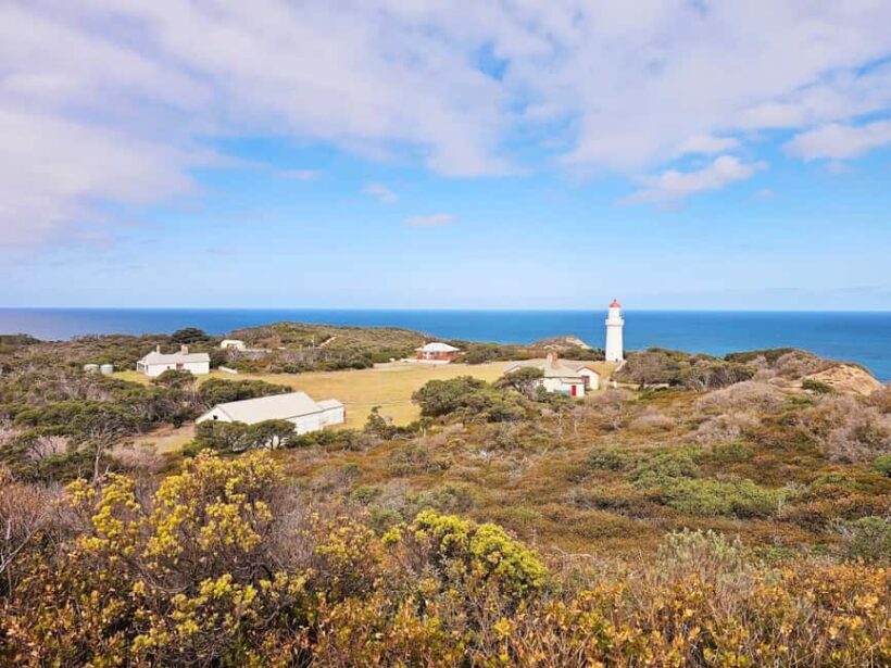 Melbourne: Mornington Peninsula Southern Coast Discovery - The Sum Up: Who Will Love This Tour?
