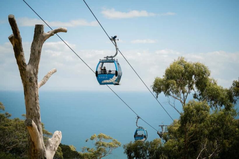 Melbourne: Mornington Peninsula Southern Coast Discovery - FAQ