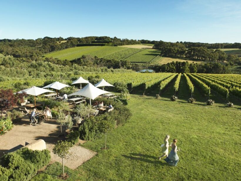 Melbourne: Mornington Peninsula Wine Day Tour - Exploring the Mornington Peninsula Wine Day Tour