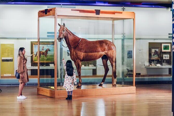 Melbourne Museum Entry Ticket - An In-Depth Look at the Melbourne Museum Experience