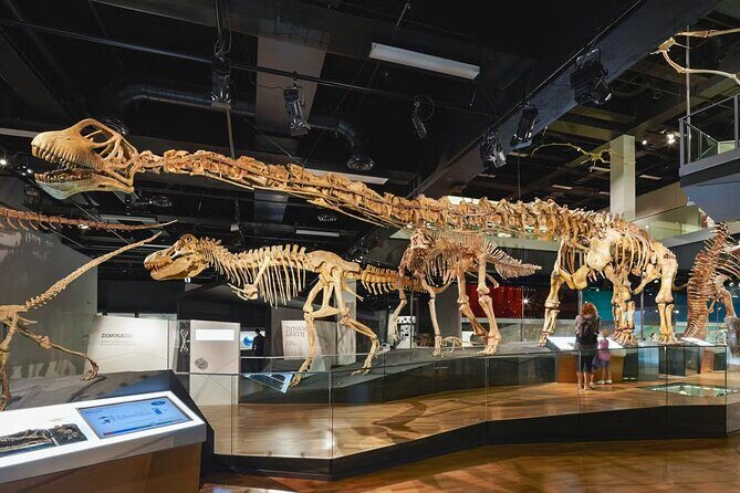 Melbourne Museum Entry Ticket - The Sum Up: Is It Worth It?