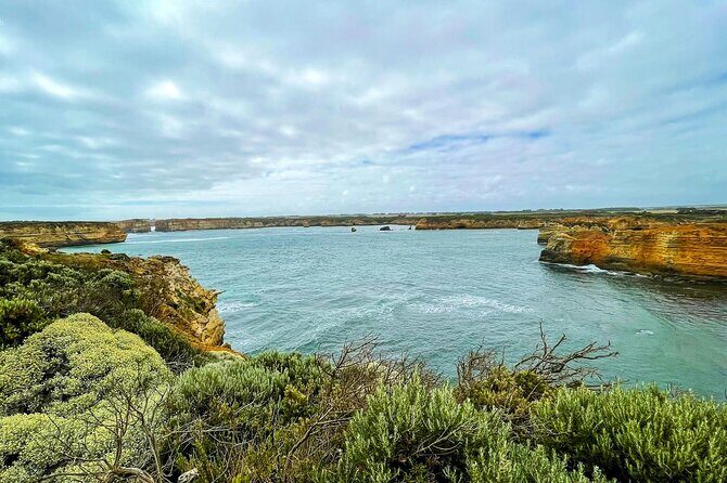 Melbourne Ocean Road Discovery Day Tour - The Authenticity and Experience