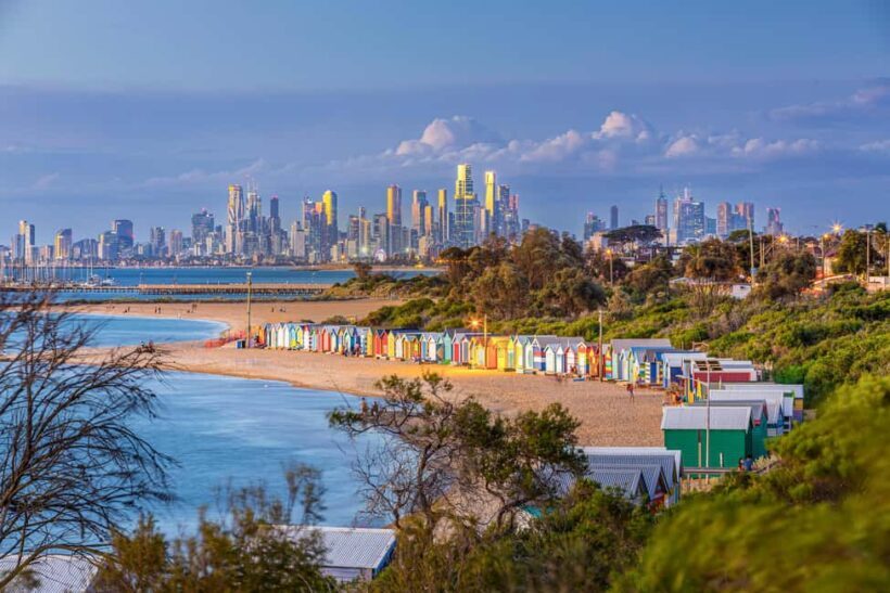 Melbourne: Penguin Parade , Koala & Brighton Bathing Boxes - Itinerary Breakdown: What You Can Expect