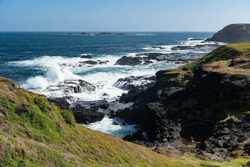 Melbourne: Penguin Parade & Phillip Island Scenic Day Tour - Authentic Experiences and Real Traveler Feedback