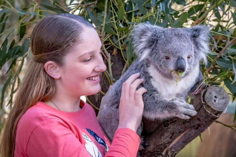 Melbourne: Penguin Parade & Phillip Island Scenic Day Tour - Final Words