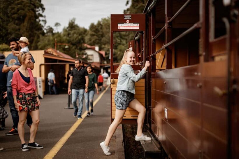 Melbourne: Penguin Parade Tour with Puffing Billy Train Ride - Who Will Love This Tour?