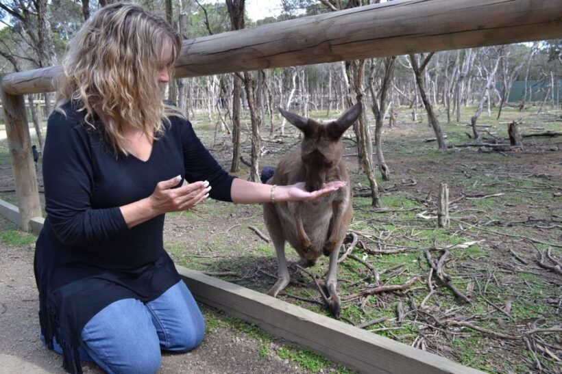 Melbourne: Peninsula Nature Private Day Trip with Dinner - Price and Value