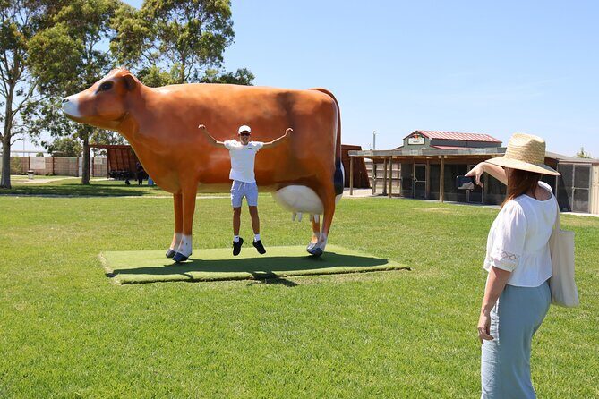 Melbourne Phillip Island 1 Day Tour - A Detailed Look at the Itinerary